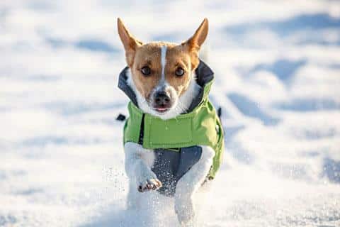 Kerbl - Dog Coat Vancouver - Яке Ванкувър, различни размери - Pet Buddy